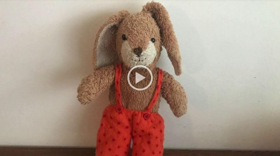 Proyecto Hans Hase en Kindergarten - Goethe-Schule